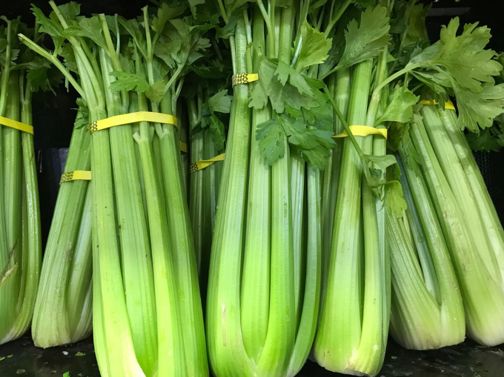 Can Rabbits Eat Celery: Detailed Guide on Rabbits and Celery