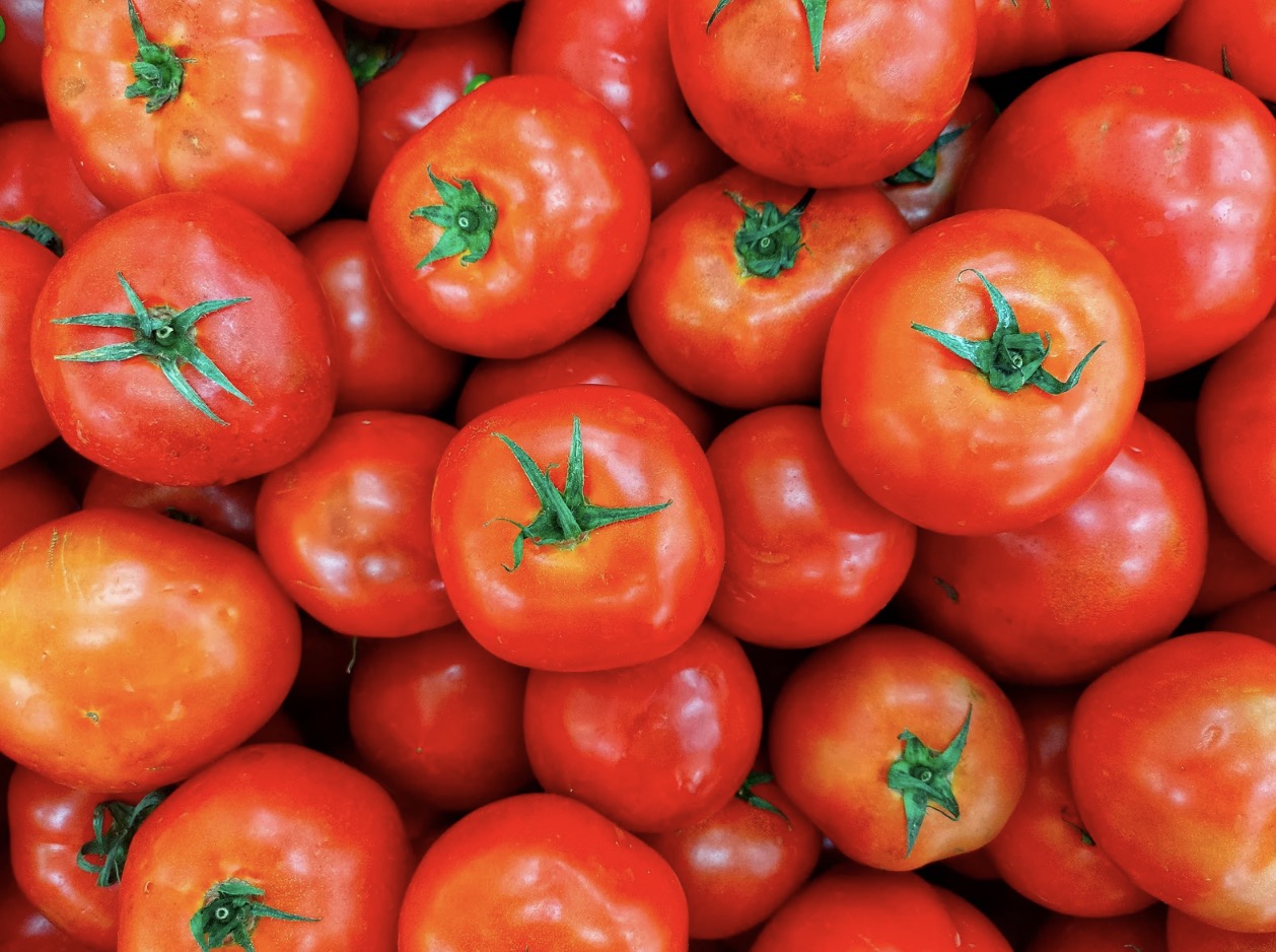 Can Rabbits Eat Tomatoes? (Guide to Safe Bunny Diet)