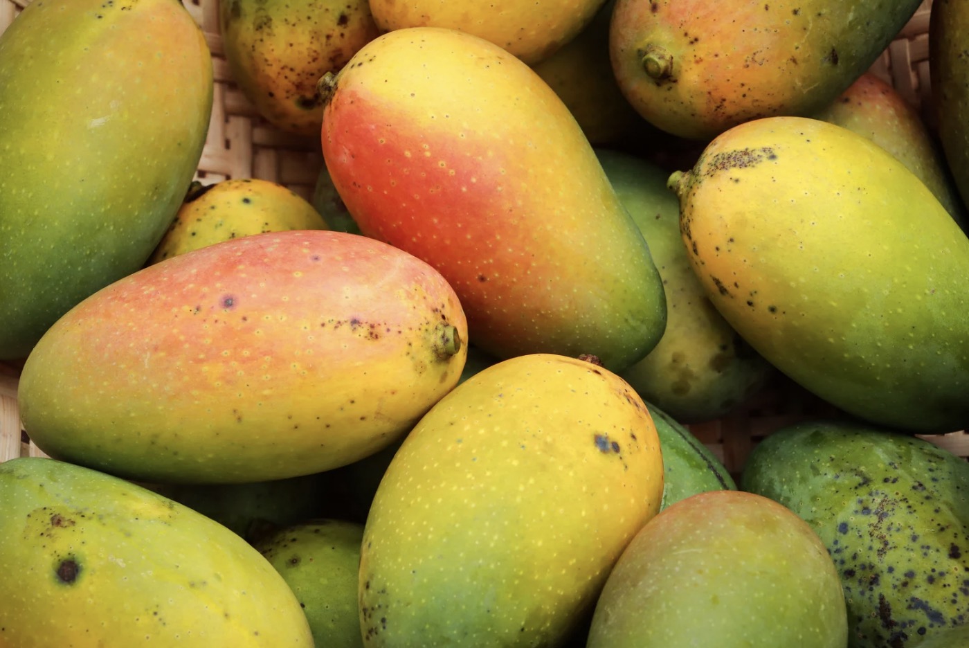 Can Rabbits Eat Mango (Including Mango Peels)? The Truth Revealed