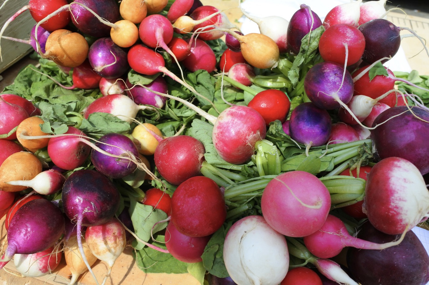 Can Rabbits Eat Radishes? (A Simple Guide for Bunny Owners)