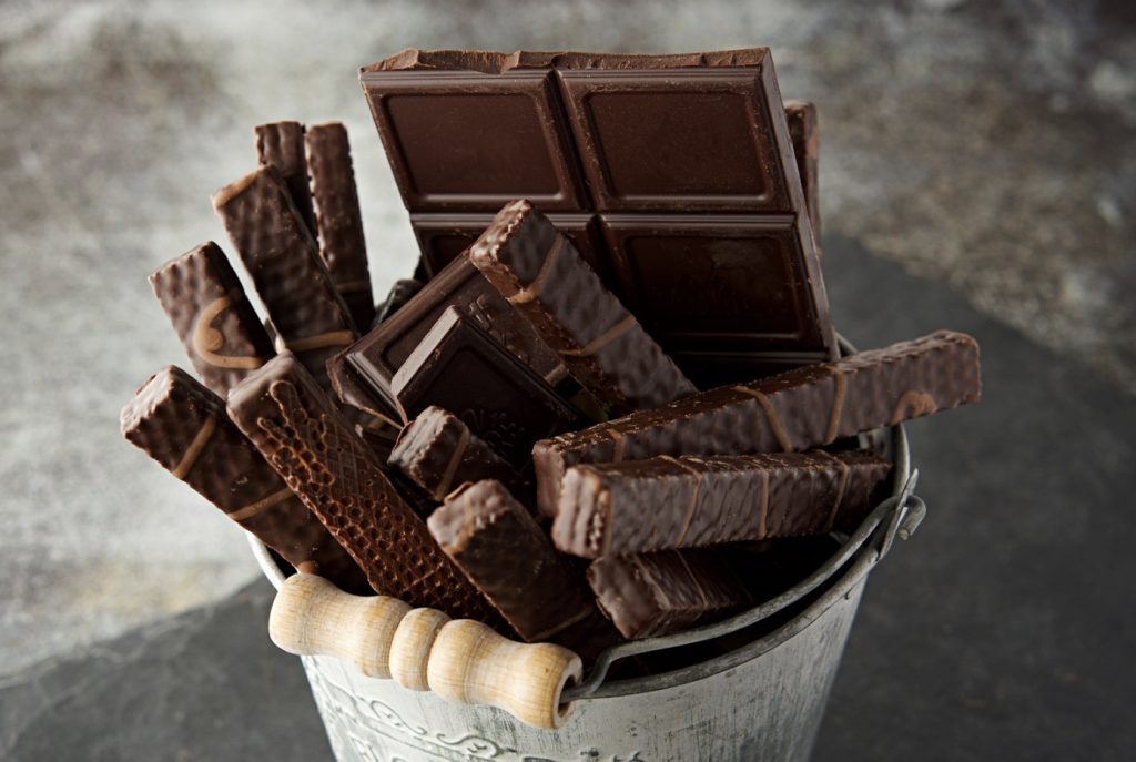 Can Rabbits Eat Chocolate? (Key Facts for Bunny Owners)