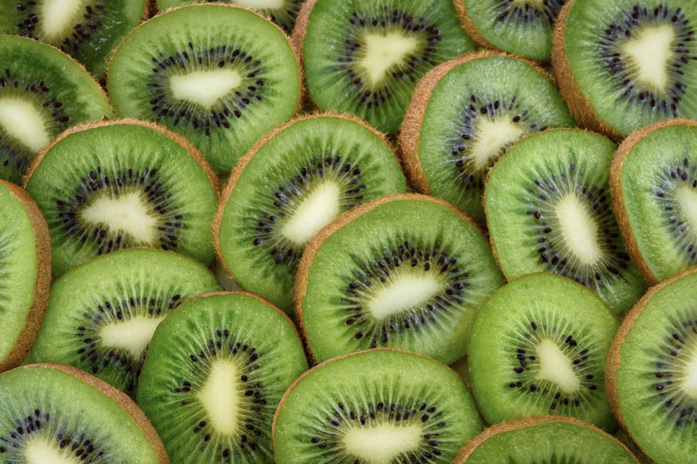 Can Rabbits Eat Kiwi (Fruit): Comprehensive Feeding Guide