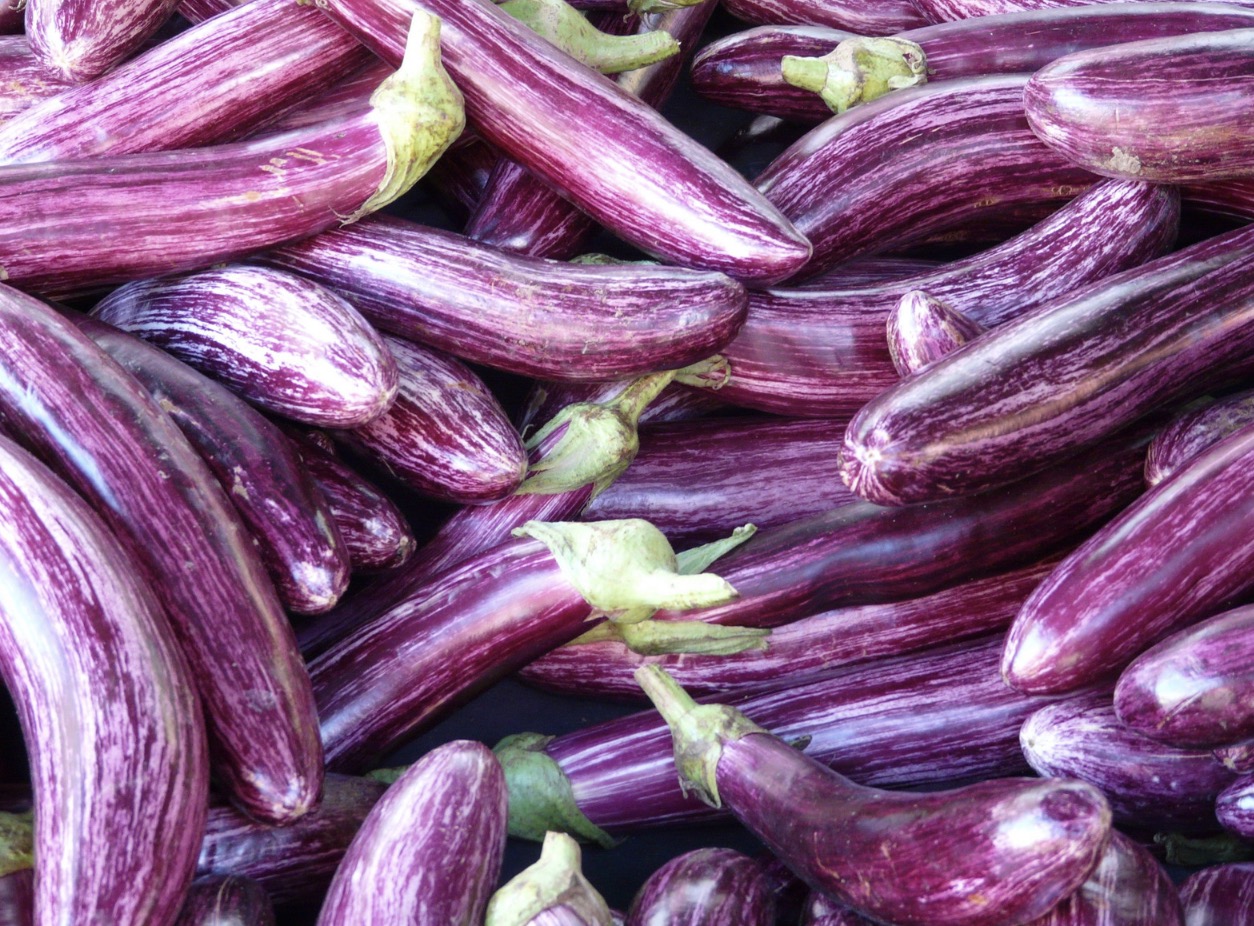 Can Rabbits Eat Eggplant (A Comprehensive Guide)