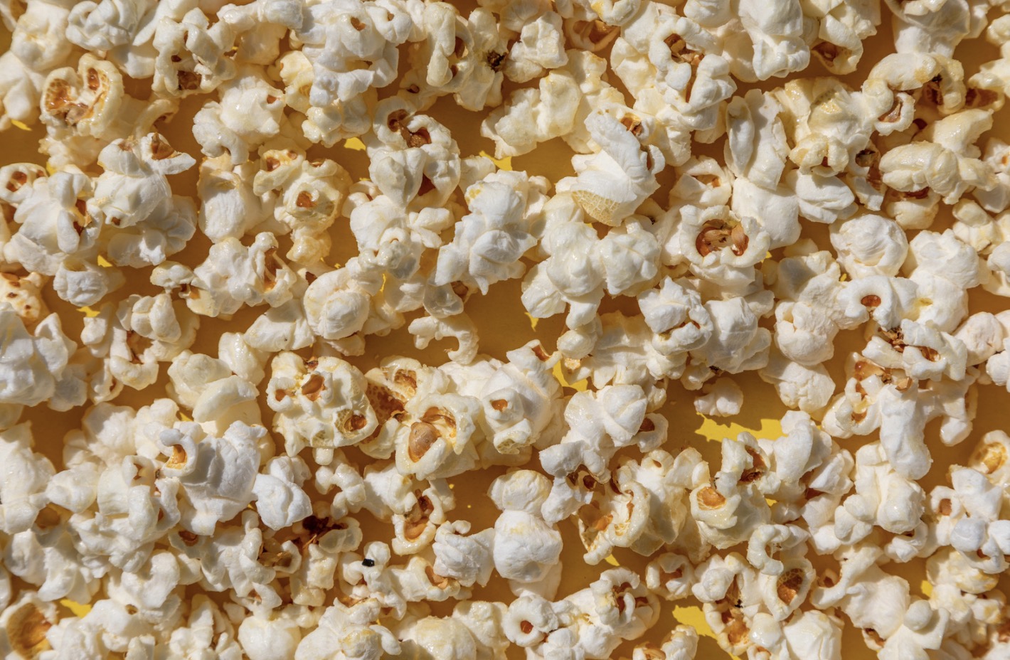 Can Rabbits Eat Popcorn? (Safe or Risky Treat Guide)