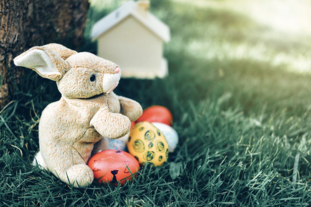 Do Rabbits Lay Eggs? (Understanding the Easter Bunny Myth)
