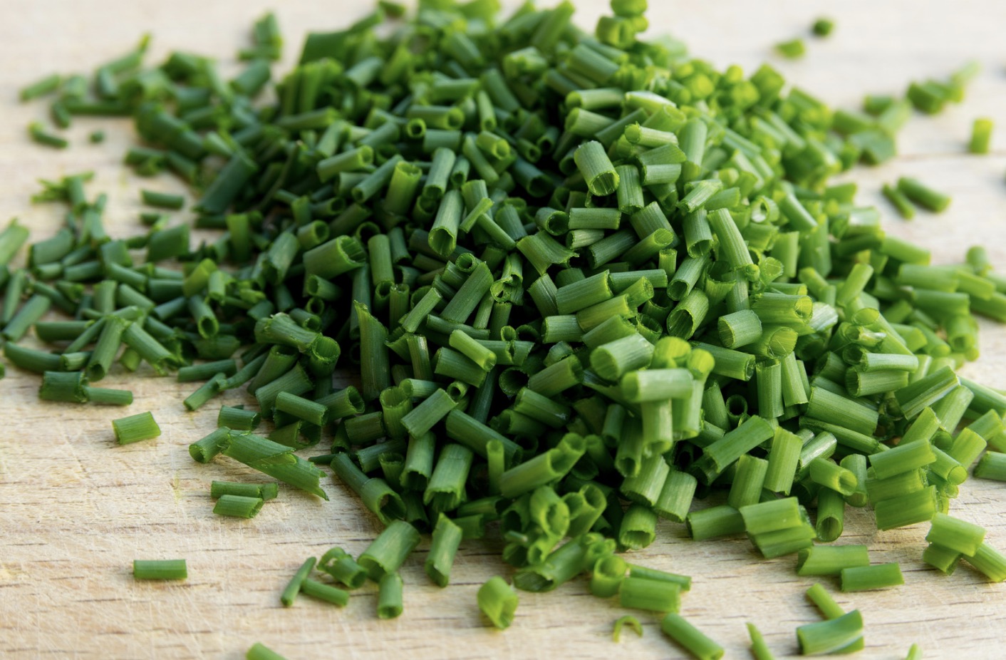 Can Rabbits Eat Chives? (Guide to Safe Herbs for Bunnies)