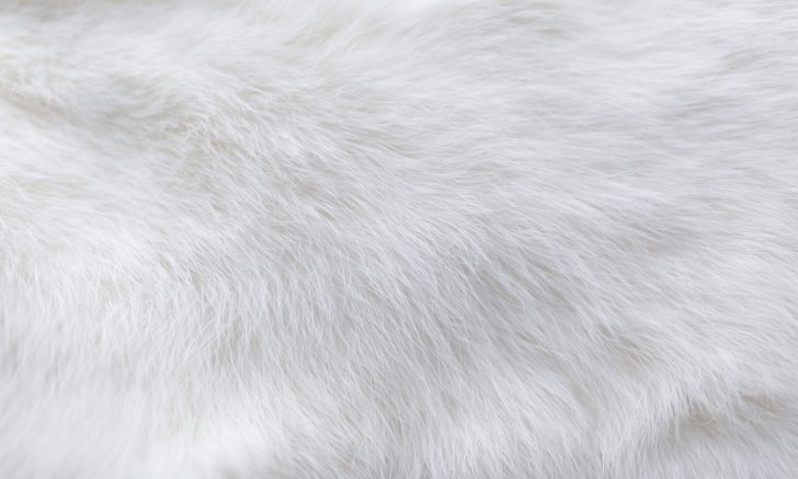 How to Clean Rabbit Fur (Simple DIY Guide for All Coats)